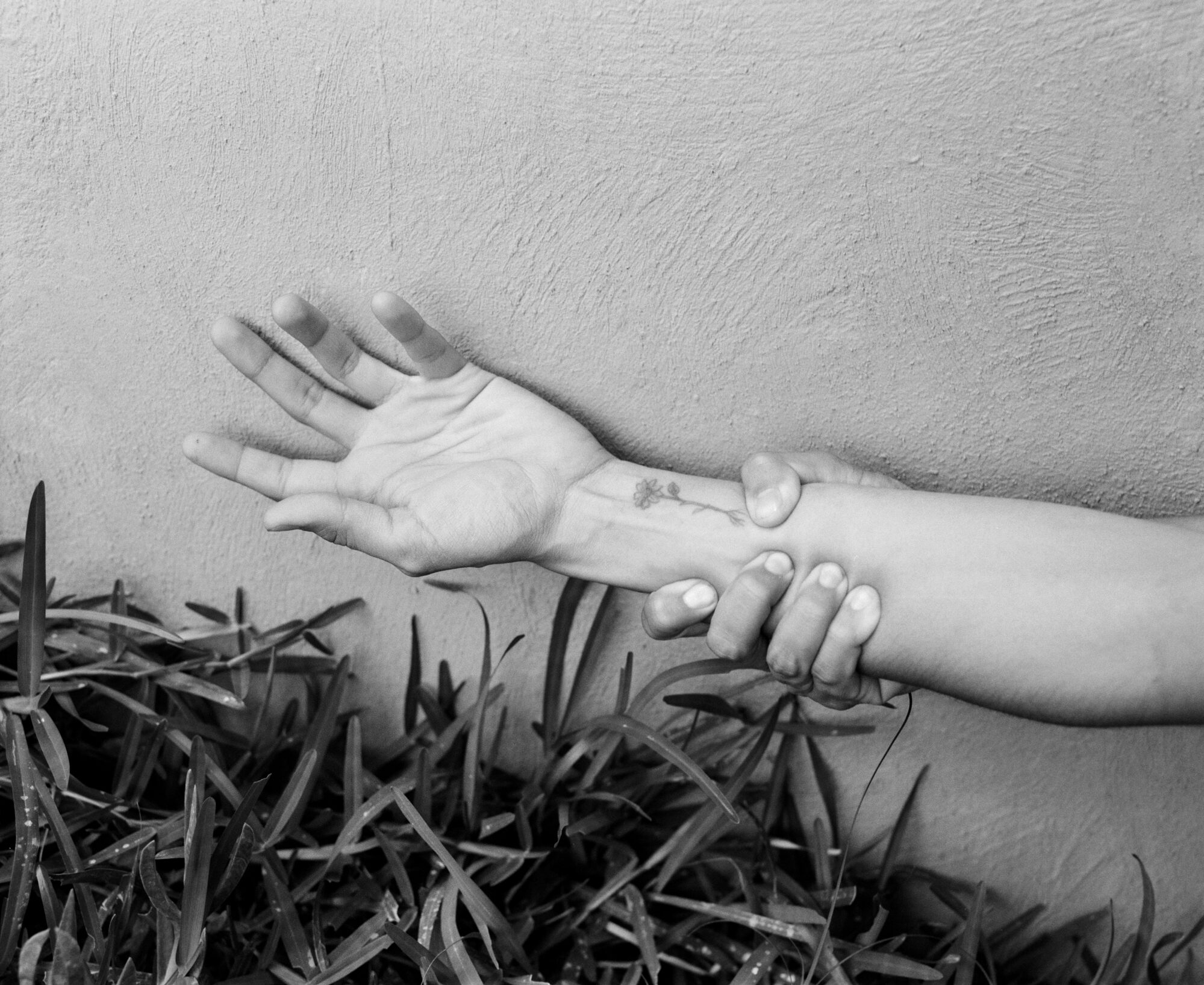 Liberadxs - Marysa Dowling